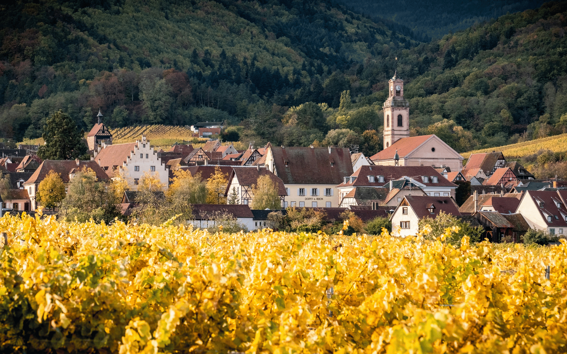 CREMANT D'ALSACE - France of Gastronomy