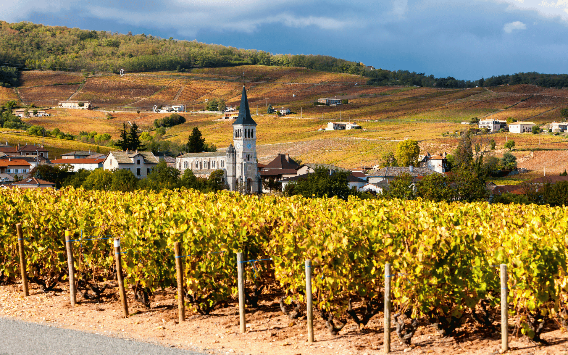 CHENAS - France of Gastronomy