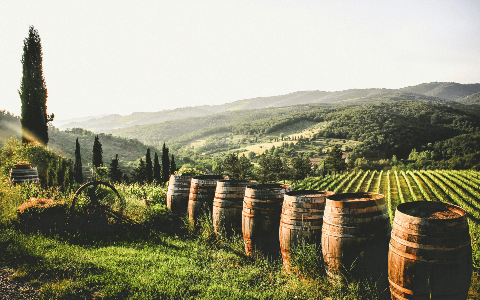 FLEURIE - France of Gastronomy