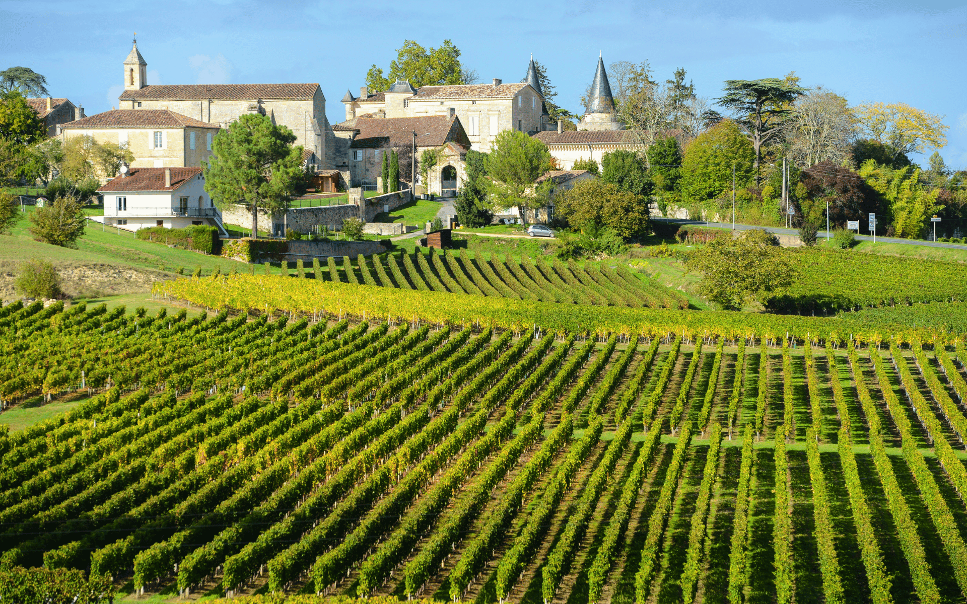 SAINT-AMOUR - France of Gastronomy