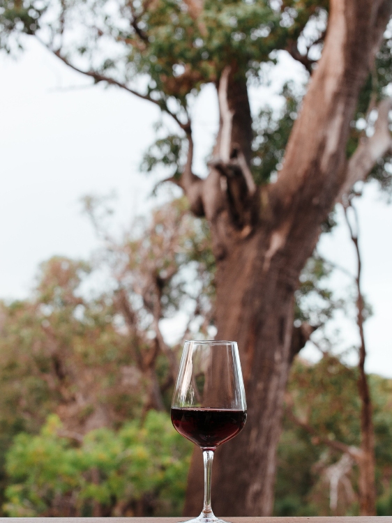 FRONSAC - France of Gastronomy