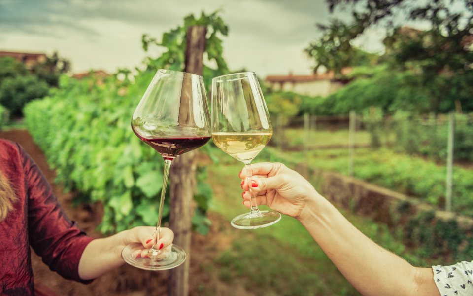 BOURGOGNE COTES DU COUCHOIS - France of Gastronomy